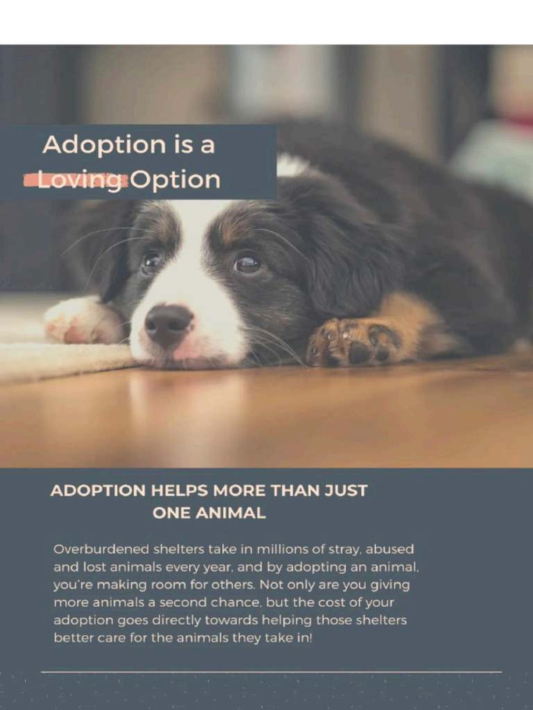 Adoption | PDF
