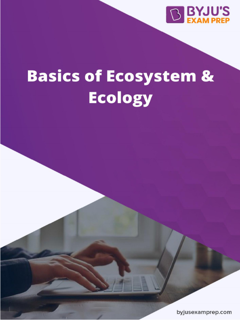 Basics of Environment and Ecosystem Ecology 19 | PDF | Ecosystem | Ecology