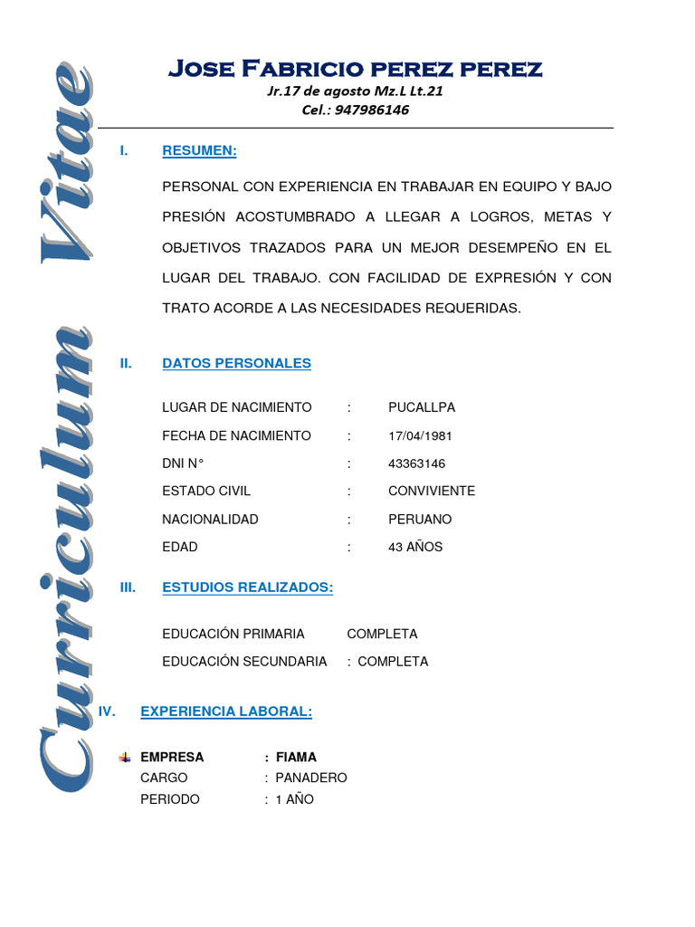 Cv. Jose Fabricio Perez | PDF