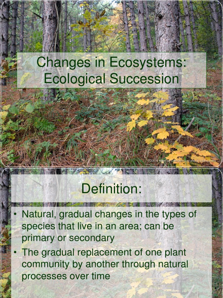 Changes in Ecosystems: Ecological Succession | PDF