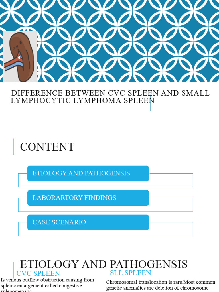 Difference Between CVC Spleen and Small | PDF | Spleen | Liver
