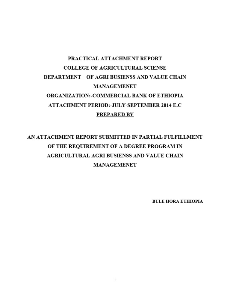 Practical Attachment Sample | PDF | Banks | Mortgages