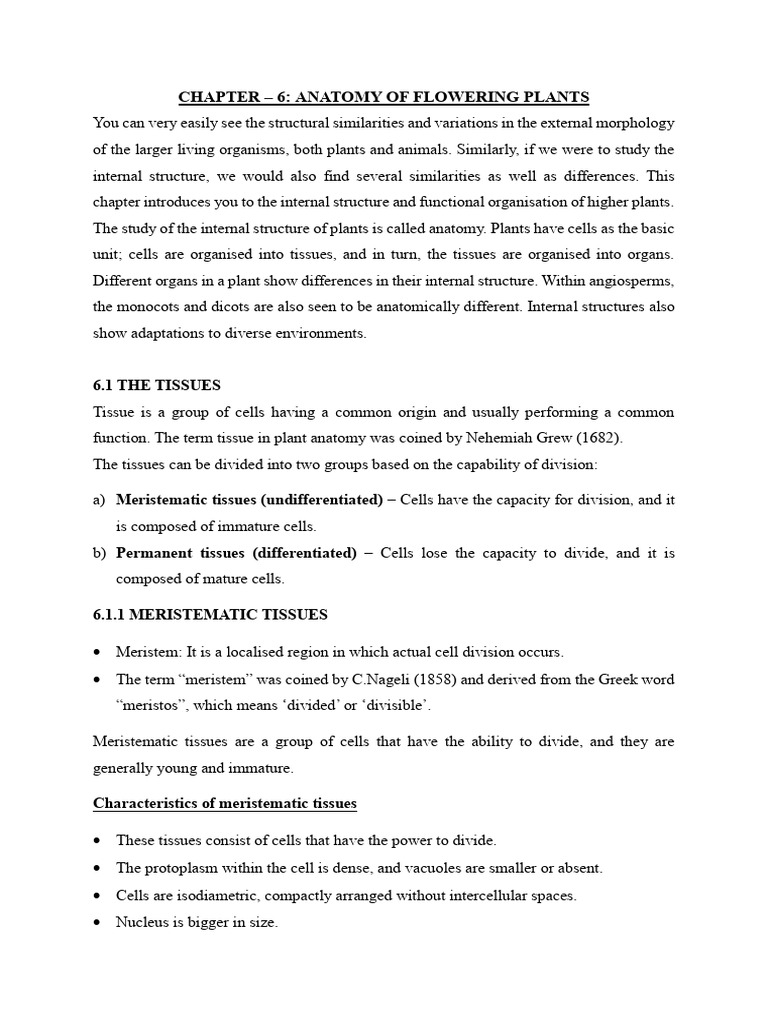 Chapter 6 Anatomy of Flowering Plants (Content) | PDF | Tissue (Biology ...