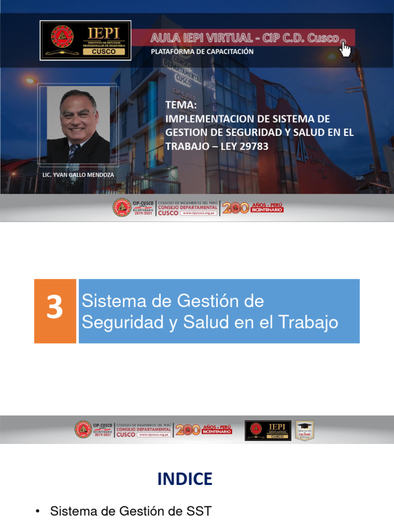 Tema: Implementacion de Sistema de Gestion de Seguridad Y Salud en El Trabajo - Ley 29783 | PDF ...