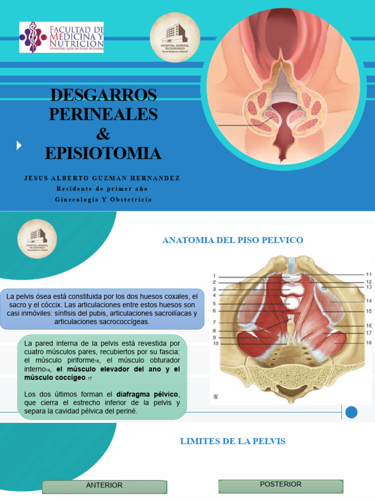Desgarros Episio | PDF | Pelvis | Sistema musculoesquelético