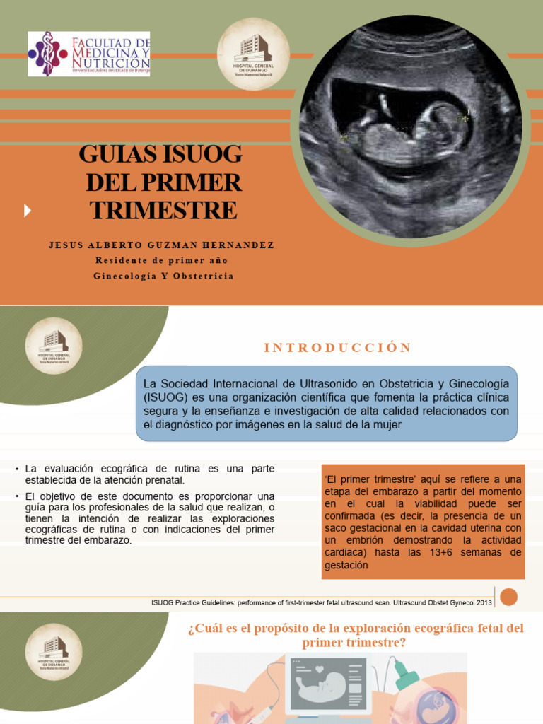 GUIAS ISUOG 1er Trimestre | PDF | El embarazo | Feto
