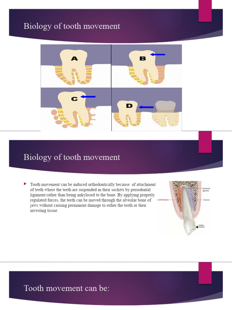 Biology of Tooth Movement | PDF | Human Tooth | Orthodontics