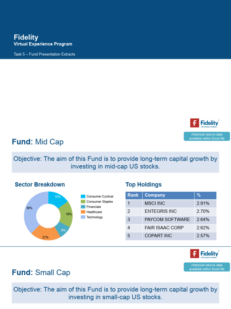Fidelity Fund Overview and Performance | PDF | Companies | Investing