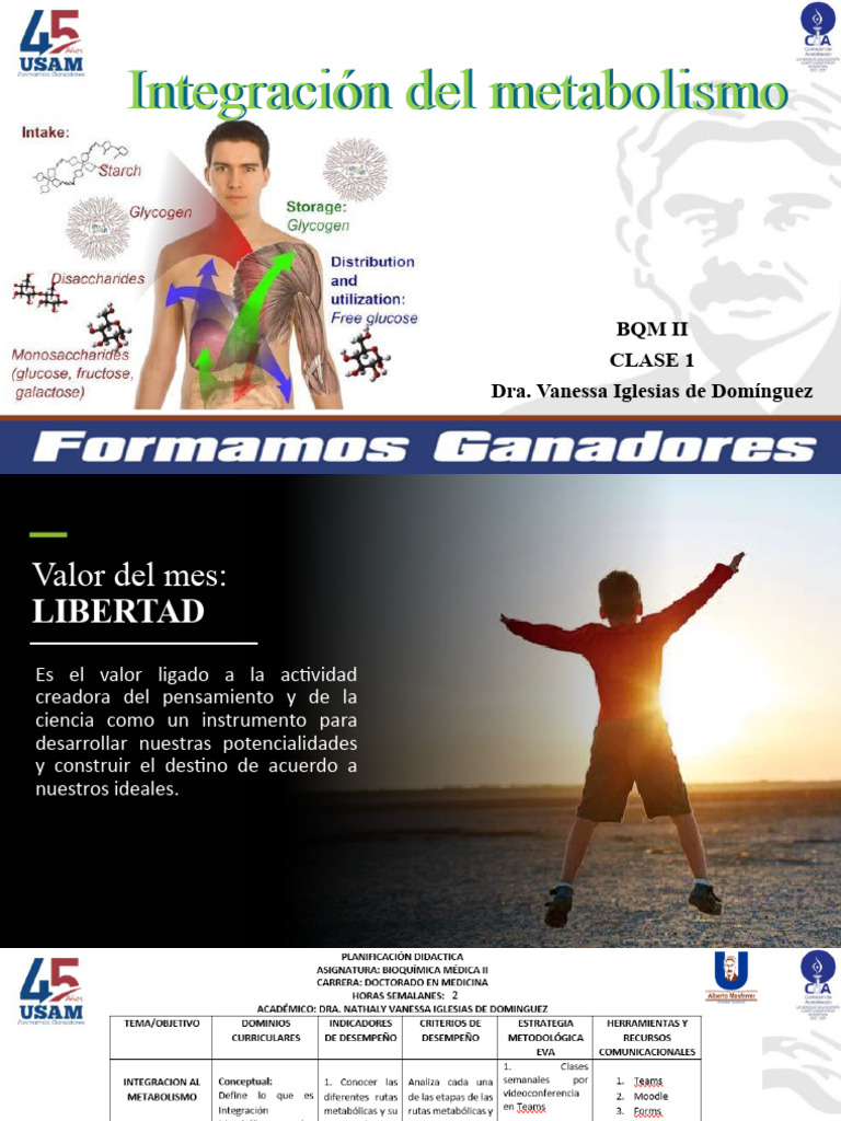 Integracion Del Metabolismo Ciclo | PDF | Dieta y nutrición | Química