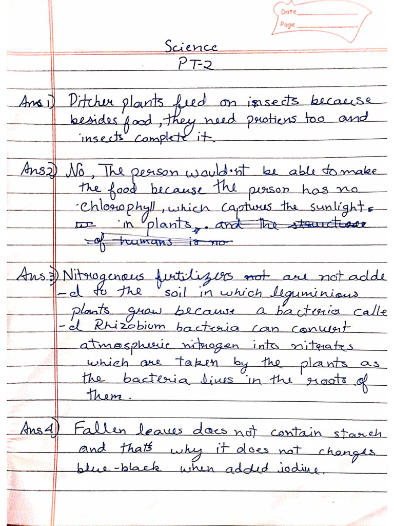 Aditya Bansal Sci PT2 | PDF