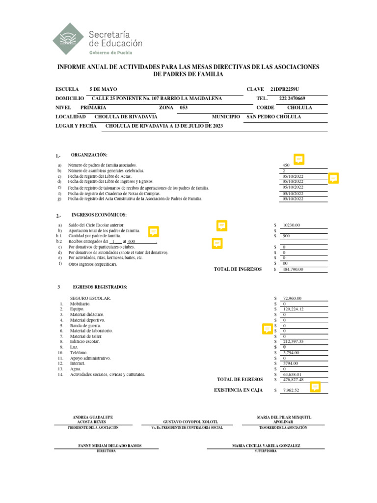 9 Informe Anual de Actividades Apf Con Observaciones | PDF