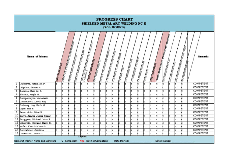 Progress Chart | PDF