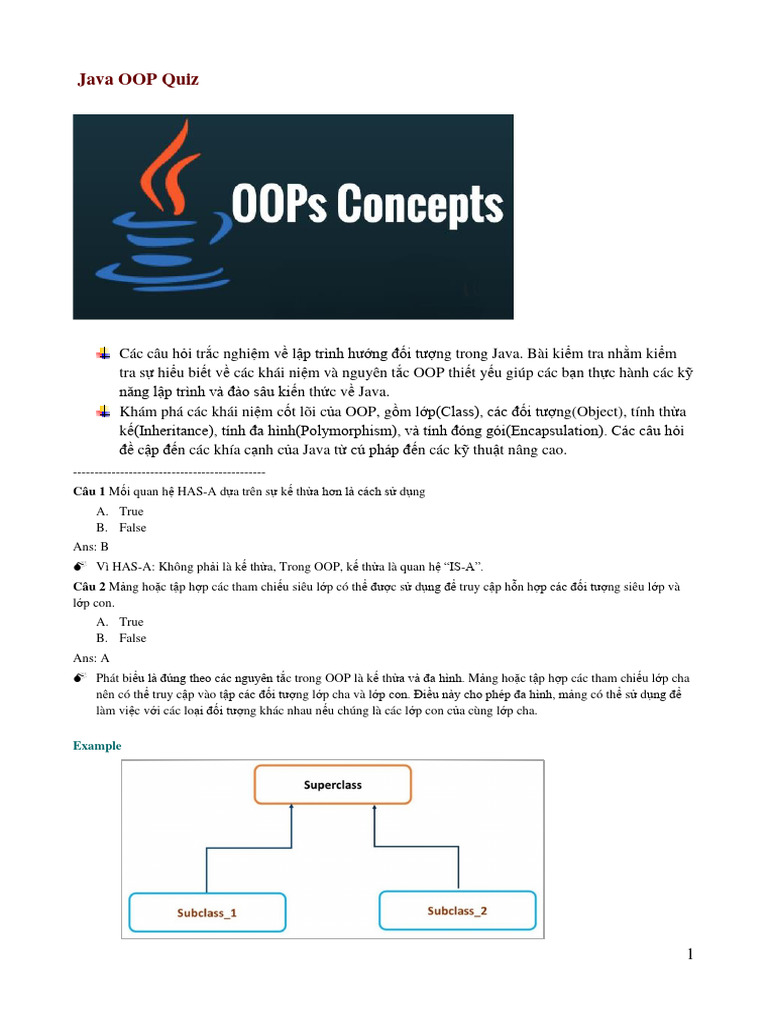 DapAn BT TracNghiem OnTap OOP | PDF