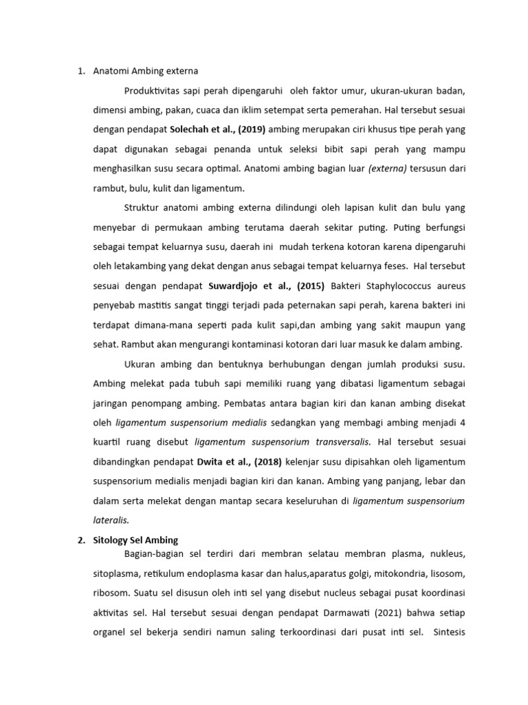 Anatomi Ambing externa | PDF