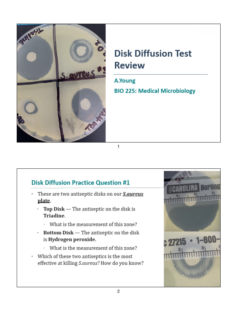 Disk Diffusion Test Review | PDF | Self-Improvement | Science & Mathematics