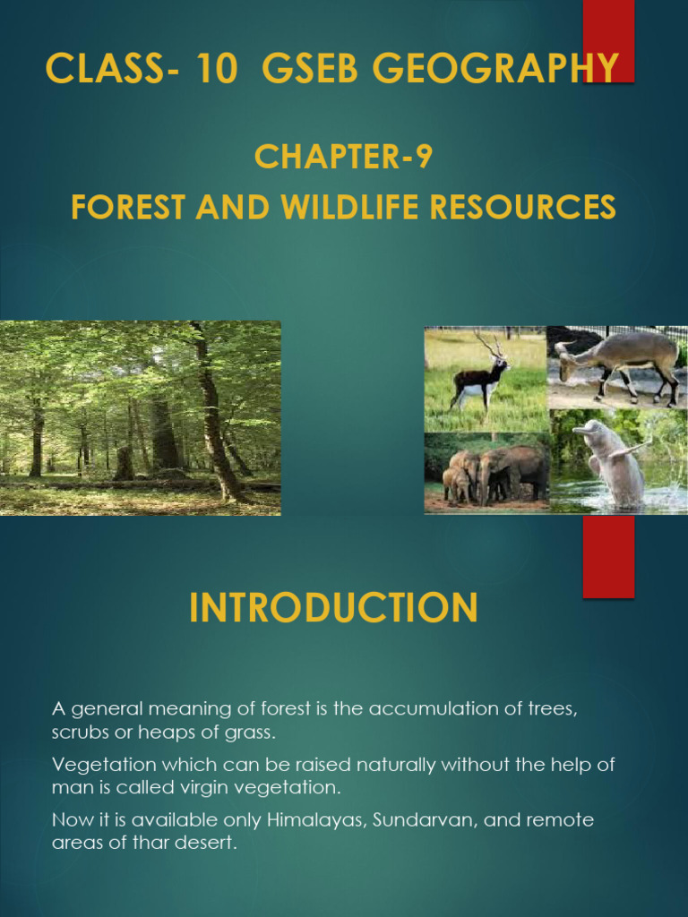 Forest and Wildlife Resources in India | PDF | Forests | Tiger