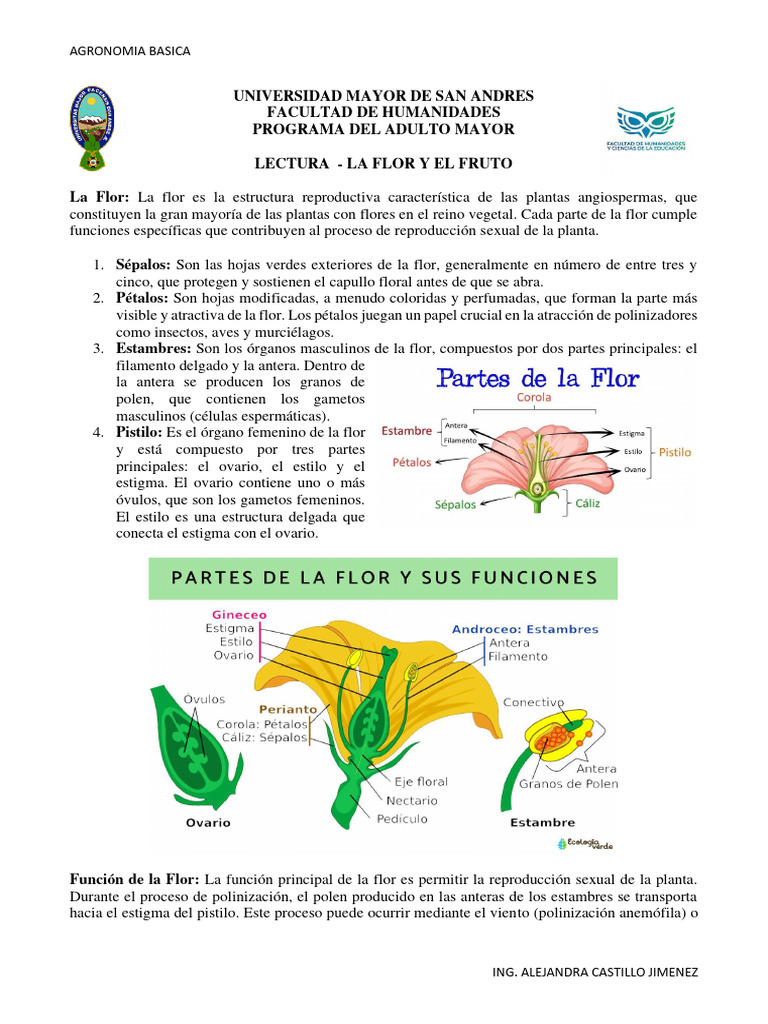 Flor y Fruto | PDF | Flores | Polinización