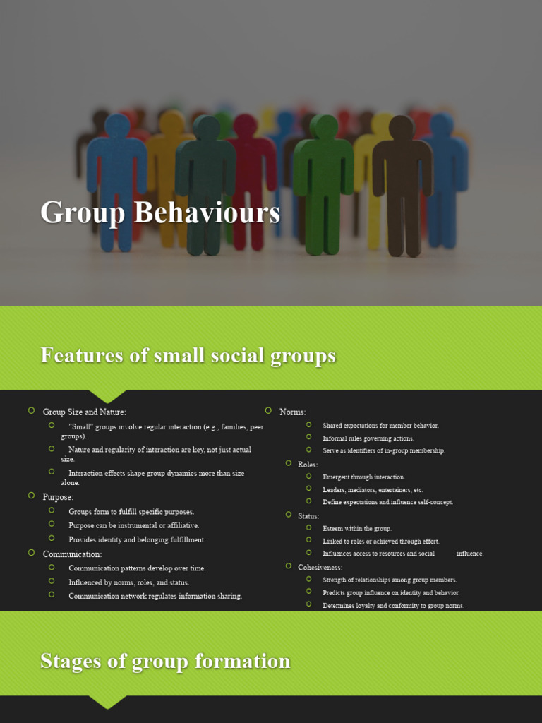 Group Behaviours | PDF | Attitude (Psychology) | Decision Making