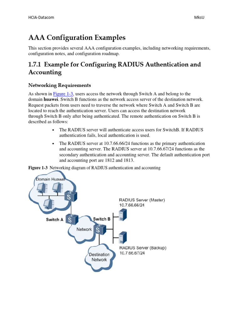 AAA Configuration Examples | PDF | Radius | Computer Network