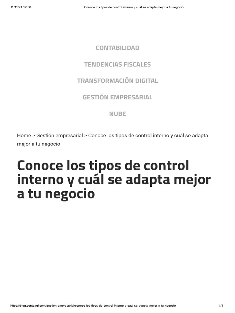 Conoce Los Tipos de Control Interno y Cuál Se Adapta Mejor A Tu Negocio | PDF | Business | Software