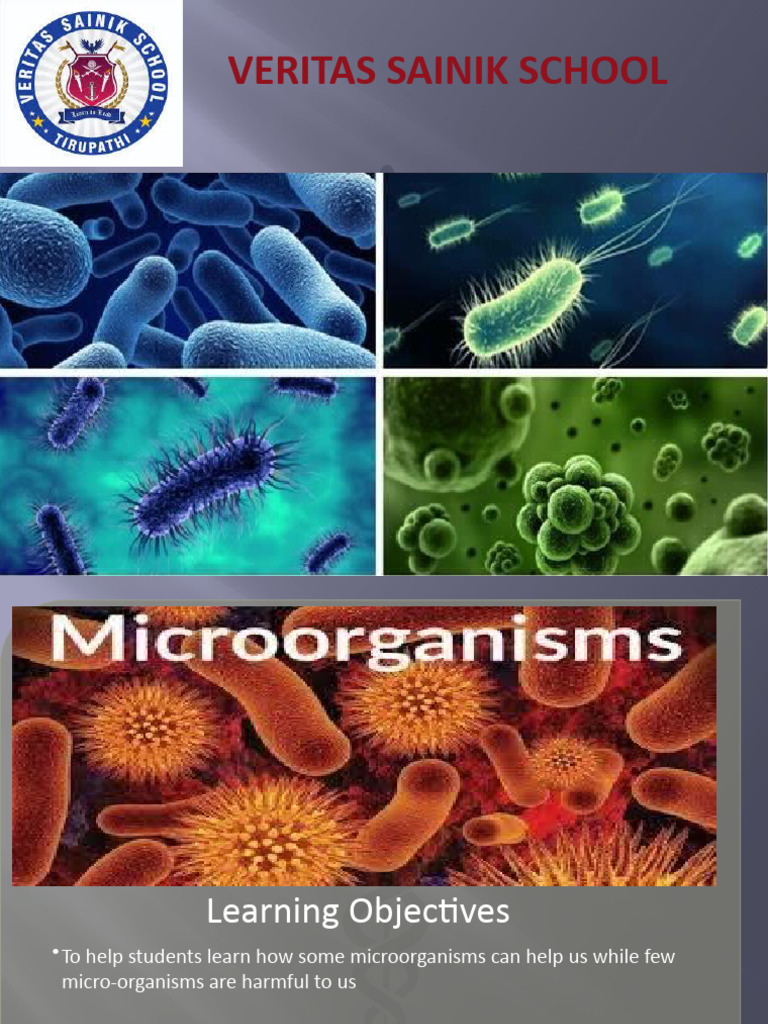 CH 2 Microorganisms 1 | PDF | Microorganism | Food Preservation