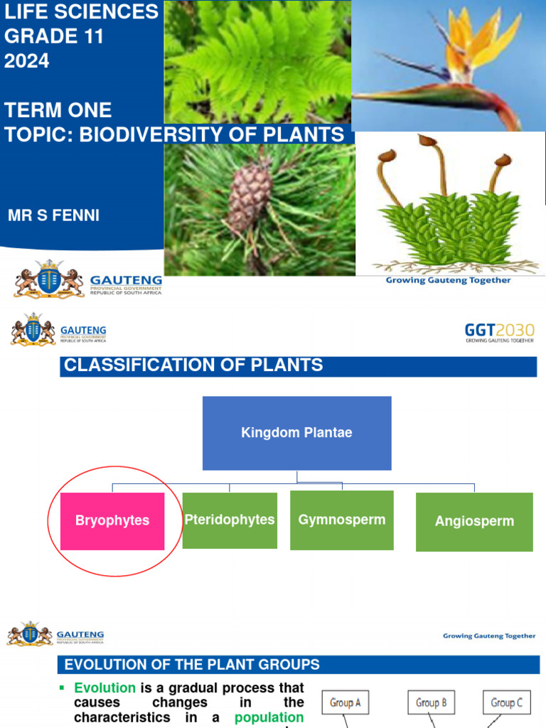 PP3.Biodiversity of Plants | PDF | Flowers | Petal