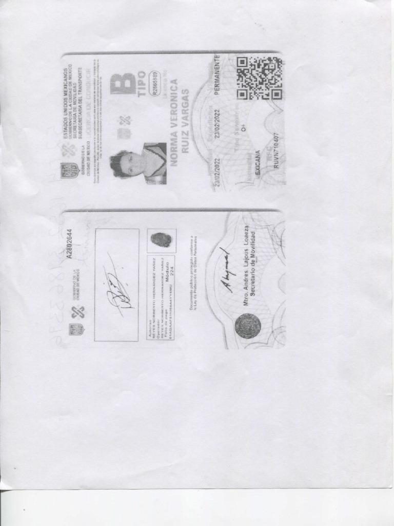 Identificación Norma Verónica Ruíz Vargas (Mamá de Karla) | PDF