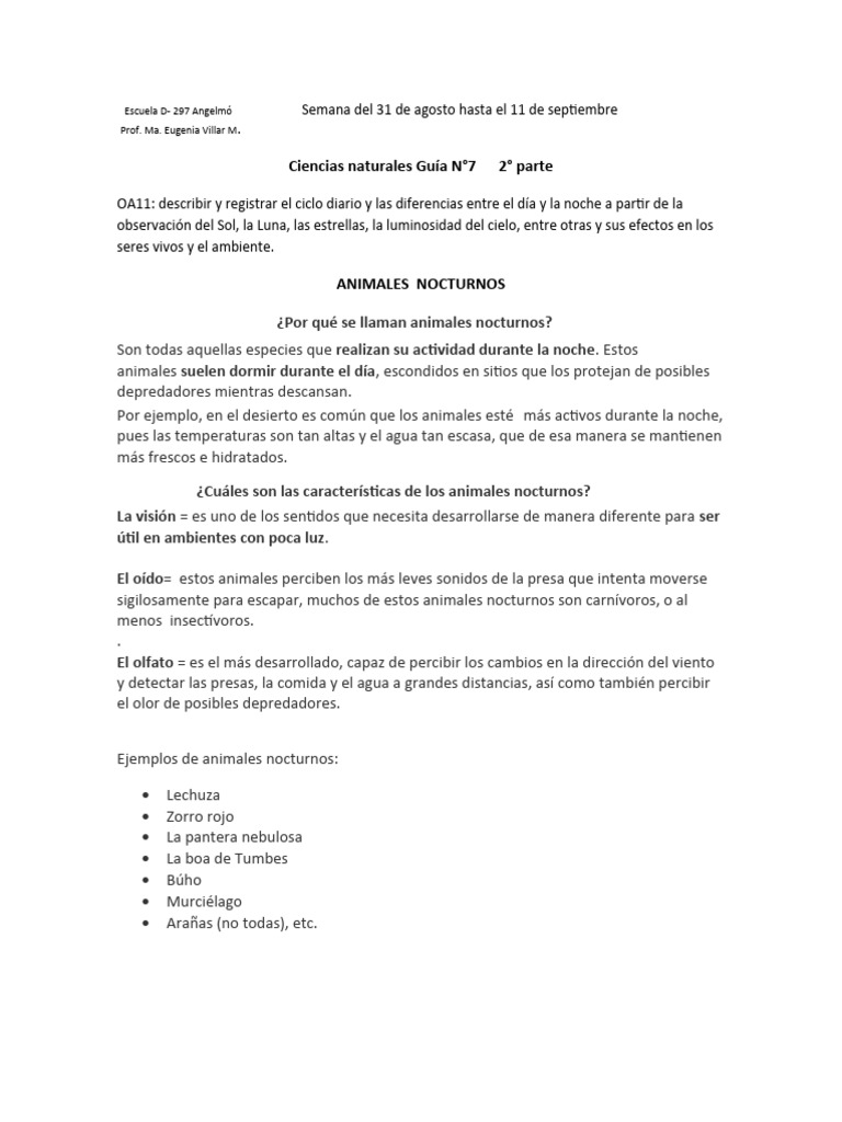 Animales Nocturnos: Características y Actividades | PDF | Depredación ...