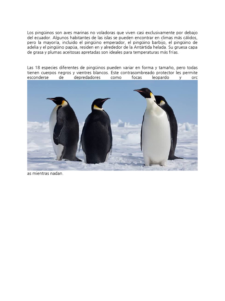 Características de los pingüinos antárticos | PDF | Hogar, jardinería y ...