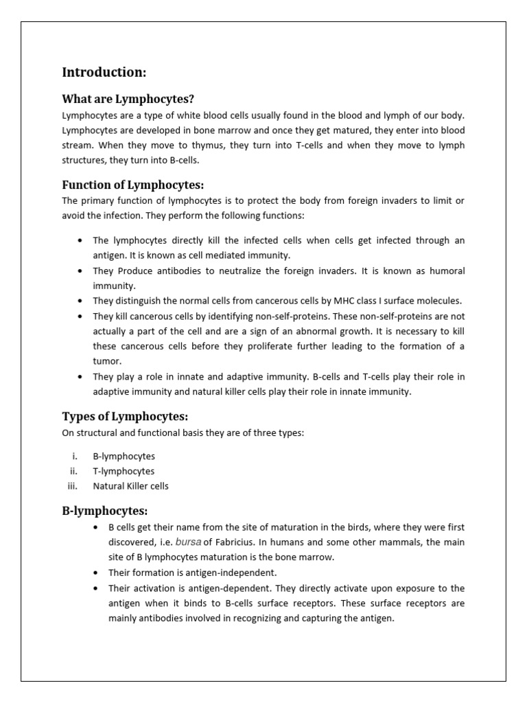 Biology of B Lymphocytes 2 6 | PDF | B Cell | Lymphocyte