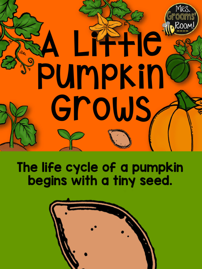 Pumpkin Life Cycle | PDF