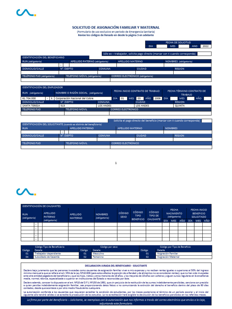 Solicitud Asignación Familiar Caja Andes | PDF | Certificado de nacimiento | Gobierno