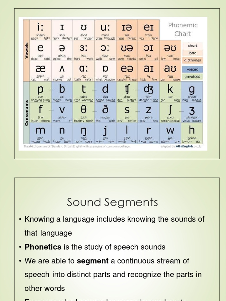 Understanding Speech Sounds and Phonetics | PDF | Phonetics | Human Voice