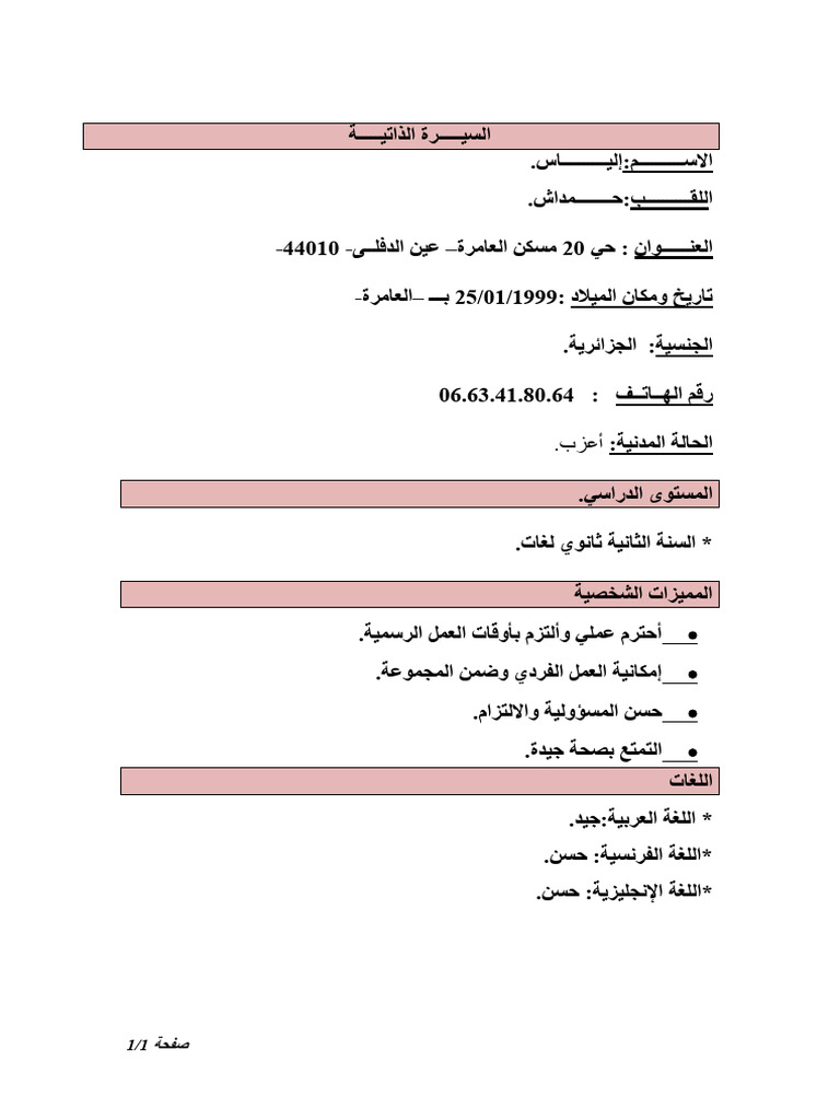 Arabic CV 003 | PDF