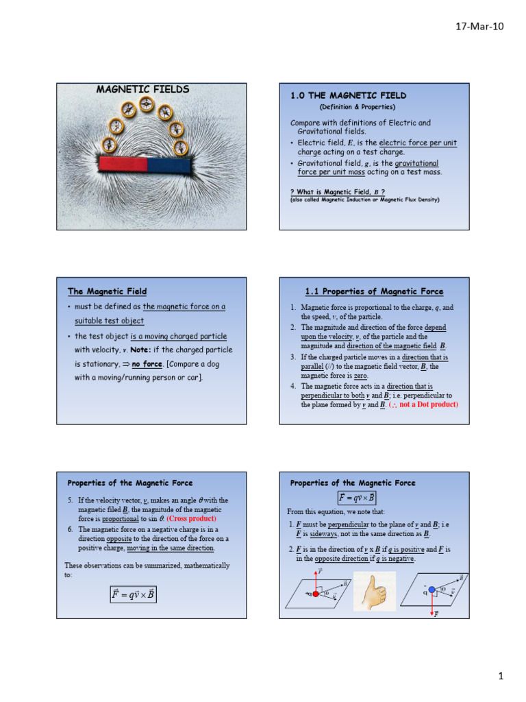 Magnetic Fields | PDF | Magnetic Field | Force