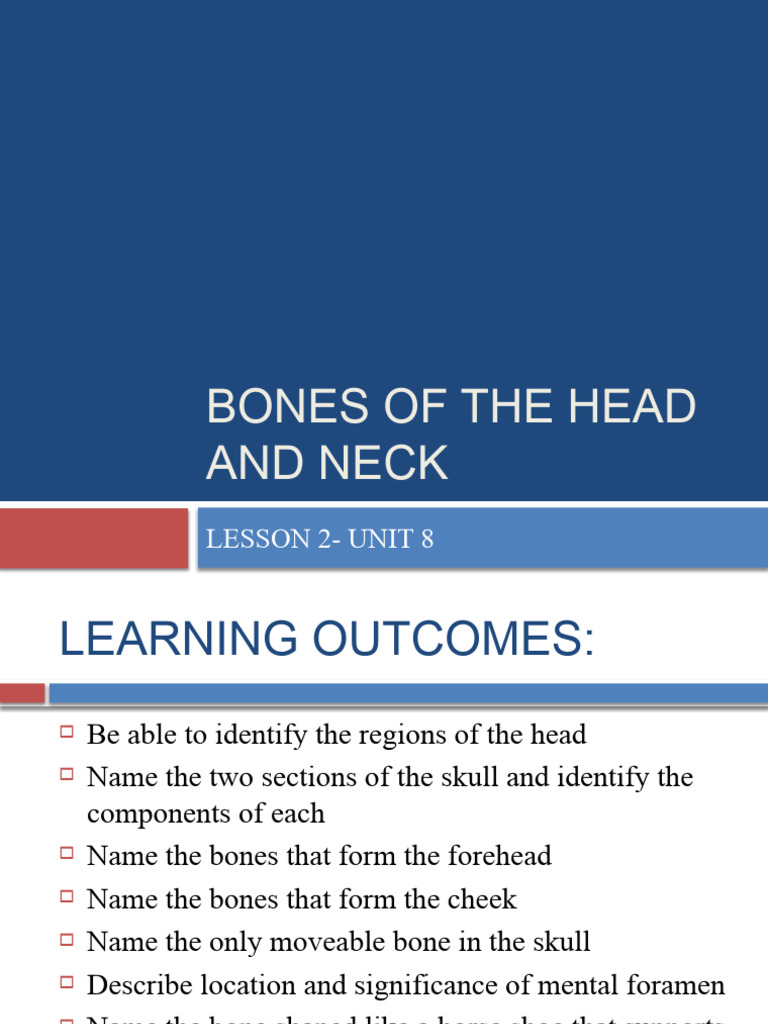 Head and Neck Bone Anatomy Guide | PDF