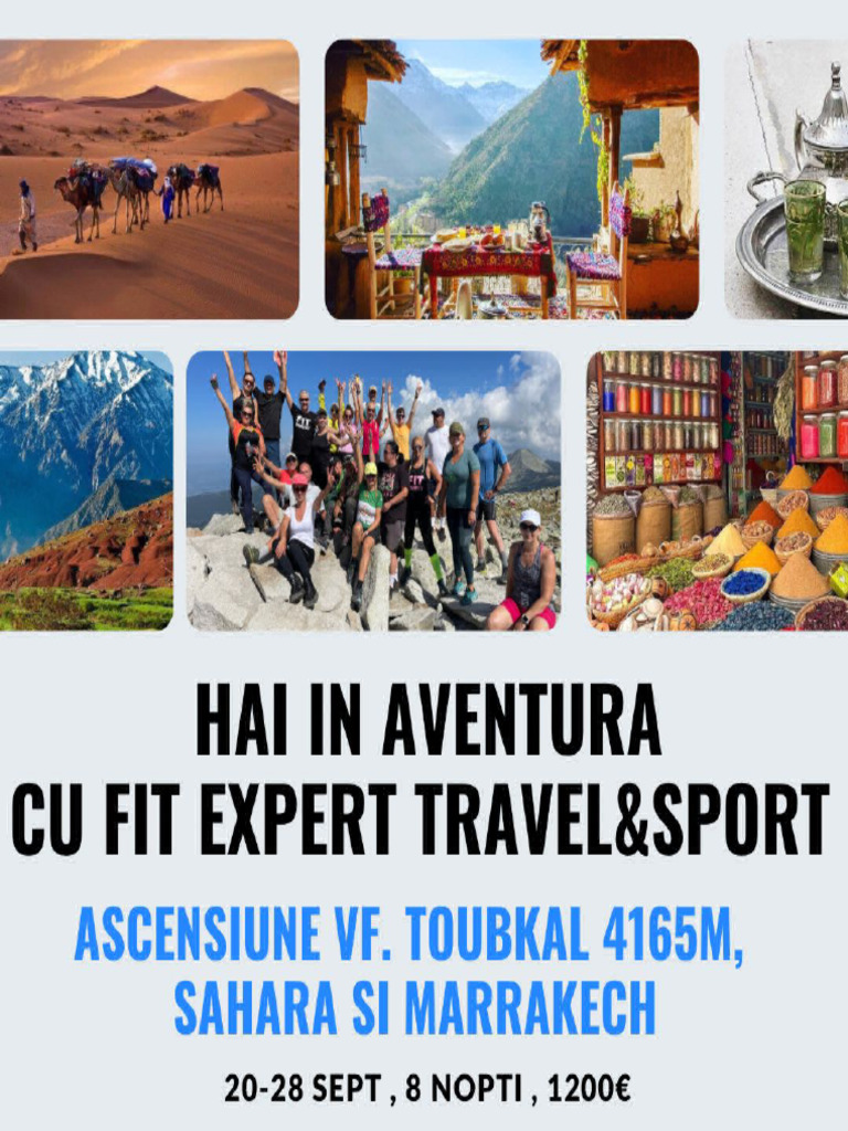 Model Proiect 1 | PDF