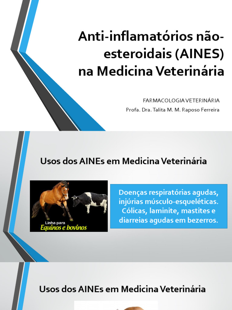 Anti-Inflamatórios Não-Esteroidais (AINES) Parte II | PDF | Anti ...