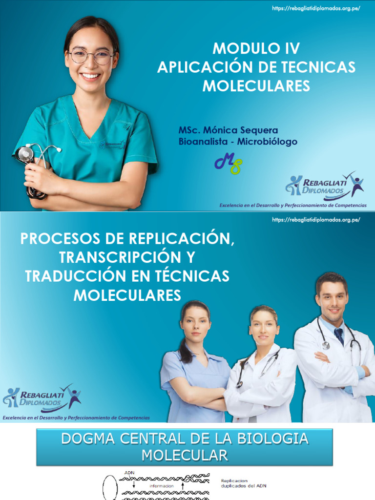 Modulo Iv | PDF | Reacción en cadena de la polimerasa | Rna