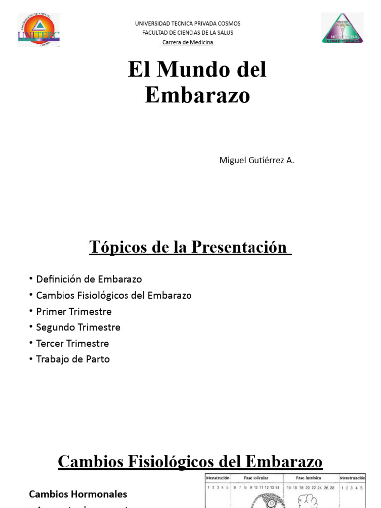 El Mundo de Embarazo | Descargar gratis PDF | Parto | El embarazo