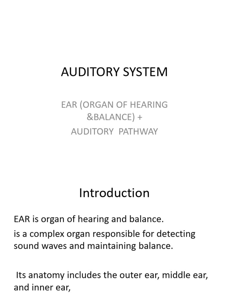 MBBS EAR 2 | Download Free PDF | Ear | Auditory System