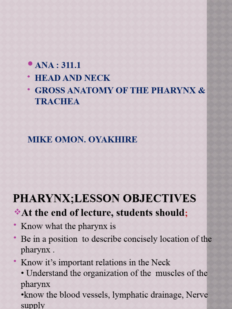 PHARYNX Presentation1 | PDF | Larynx | Common Carotid Artery
