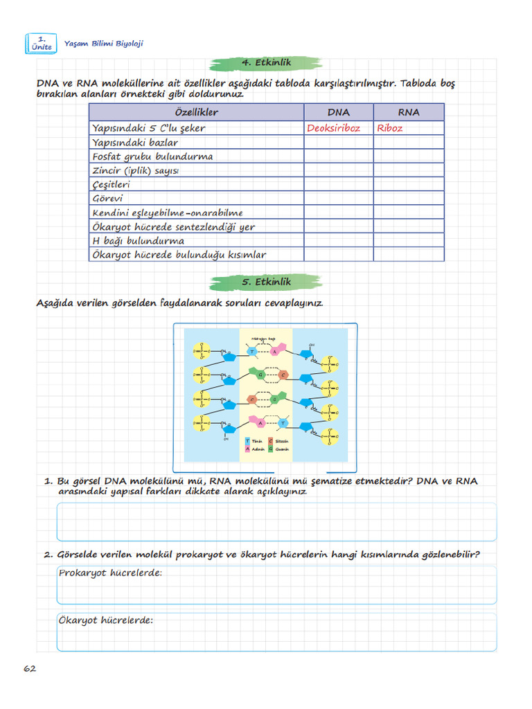 Temel Bileşenler | PDF