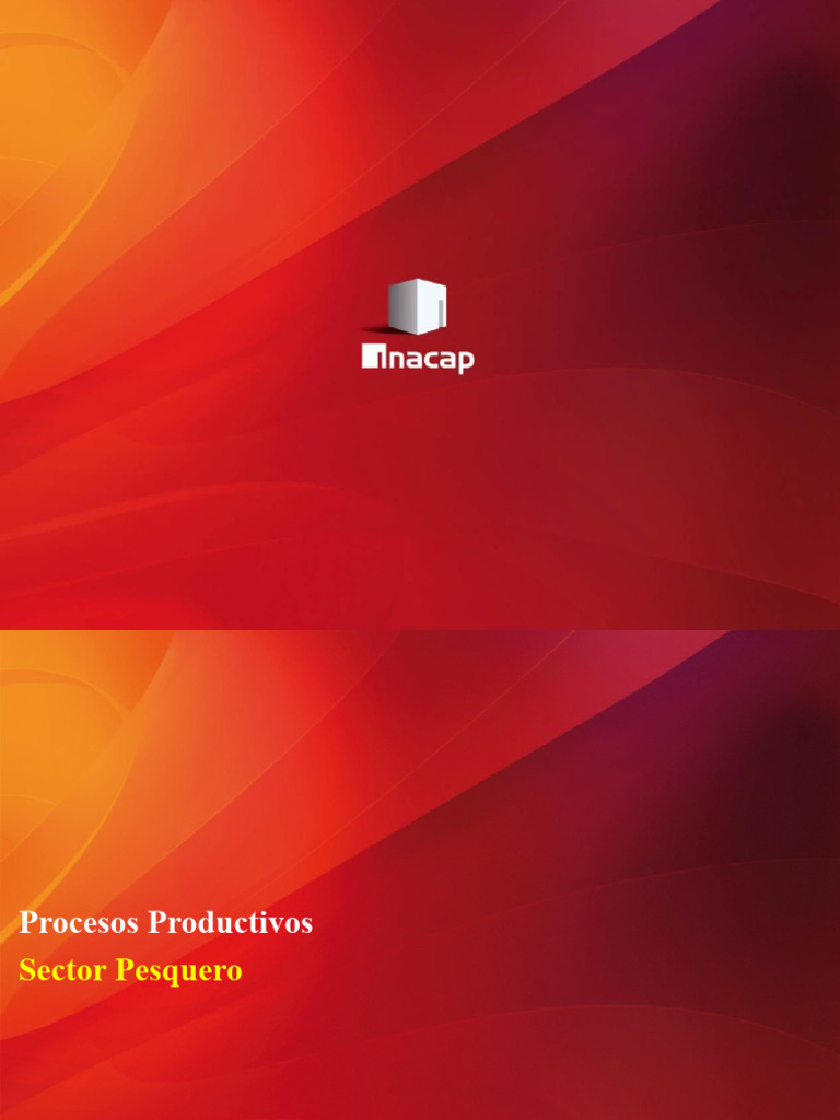 Disertacion Pesca Proceso | PDF | Mar | Pesca comercial