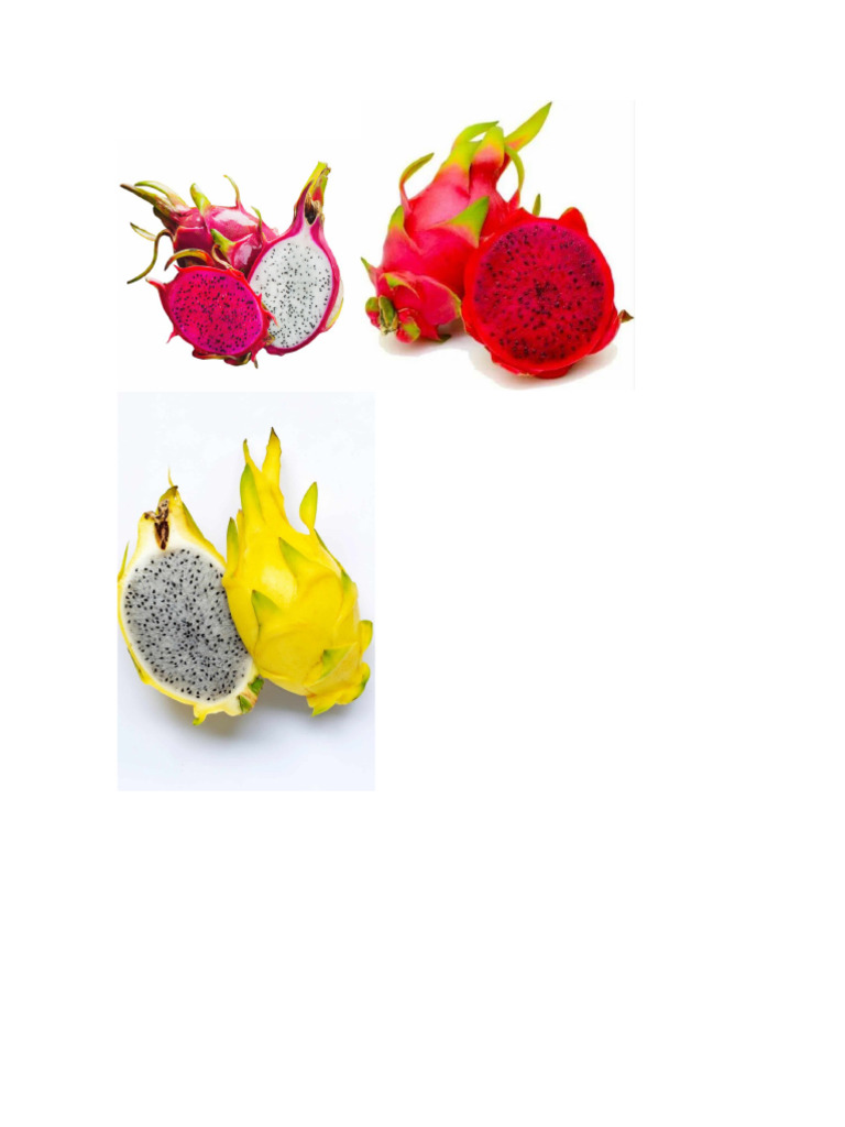 dragon fruit | PDF