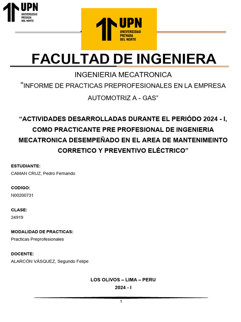 Informe Final PPP 2024 I | PDF | Neumático | Business