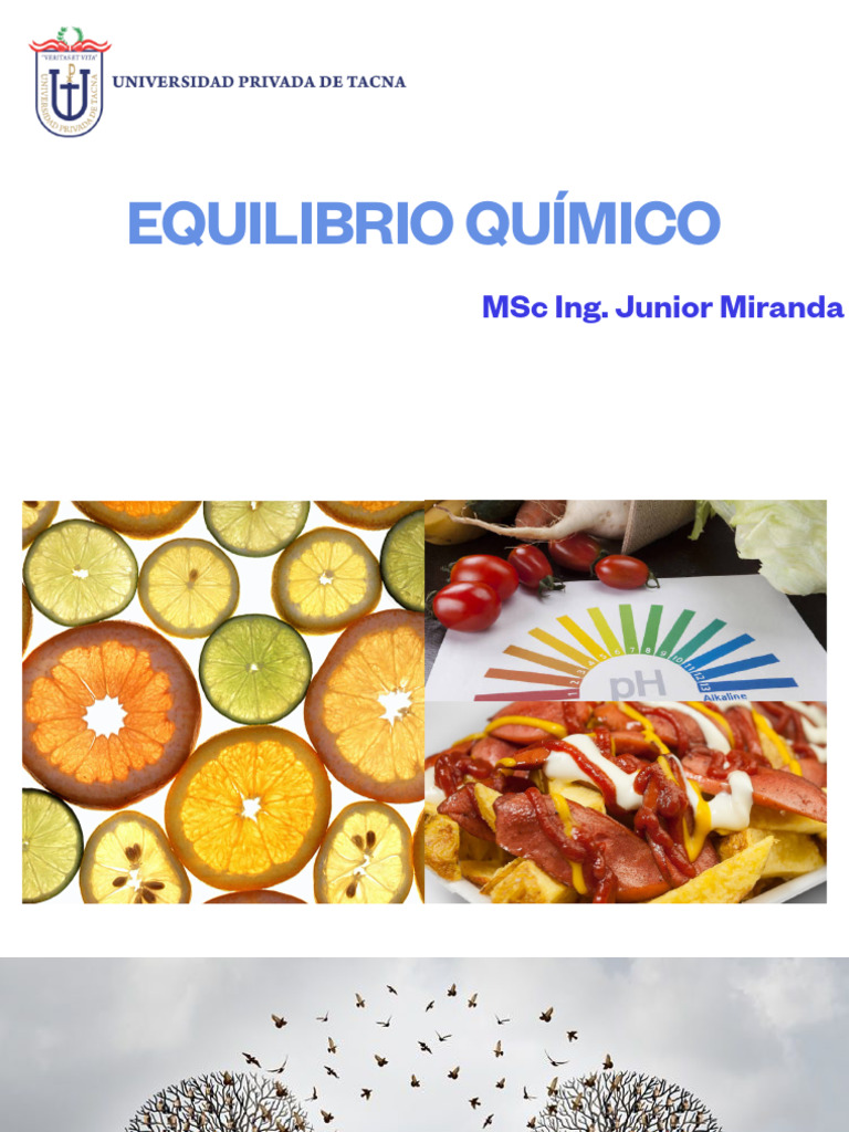 C14 - Equilibrio Quiì Mico | PDF | Equilibrio químico | Concentración