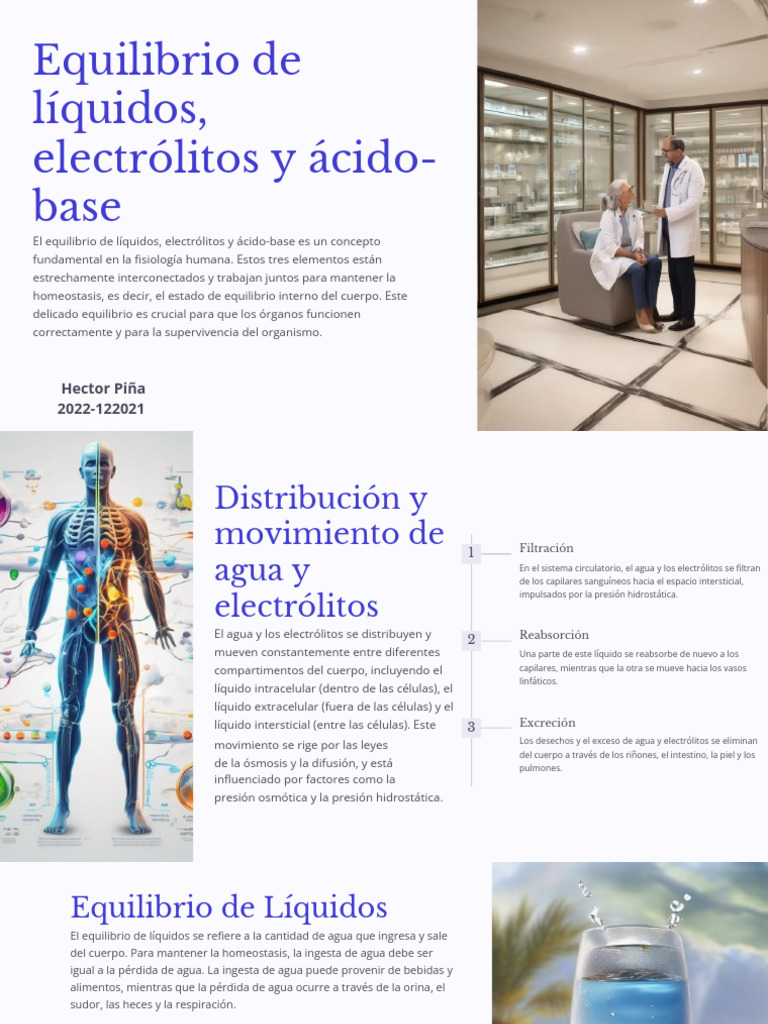 Equilibrio Acido - BAse | PDF | Electrólito | Homeostasis