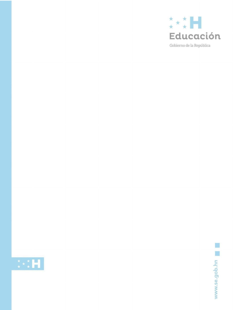 Plan Operativo Anual J PMG EDITABLE | PDF