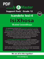 Isibonelo Sencwadi Yomsebenzi | PDF